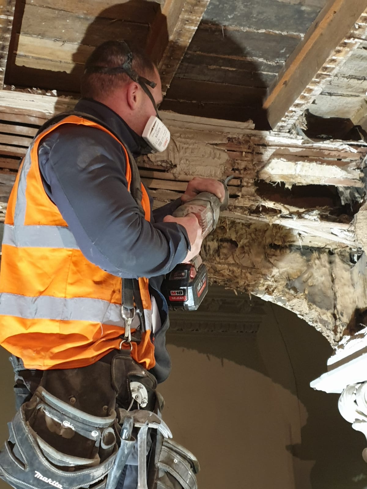 Dry Rot Repair Treatment Specialist