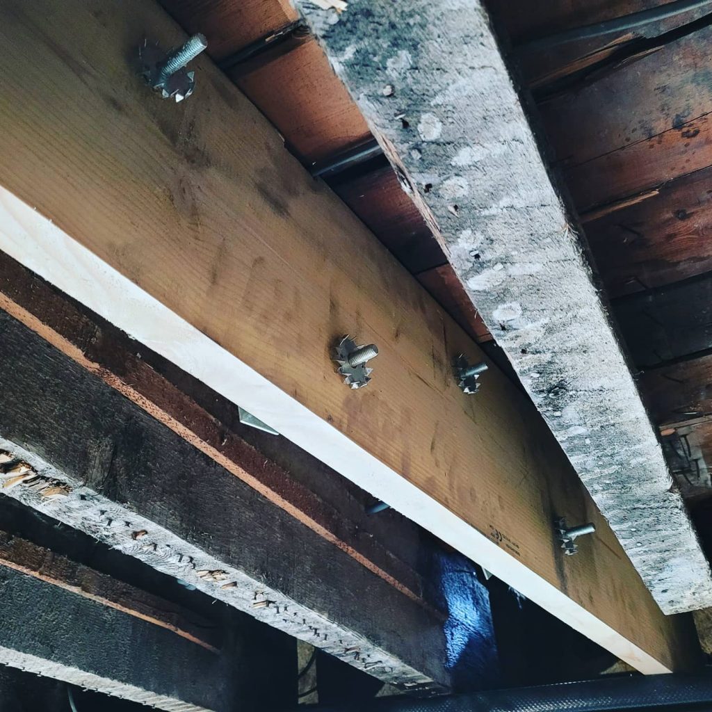Dry Rot Repair Treatment Specialist