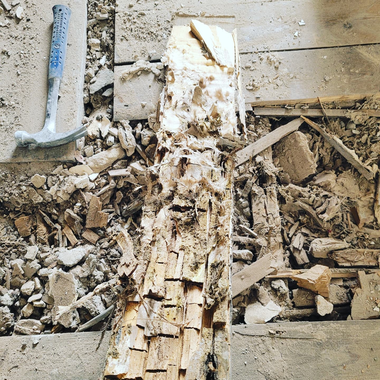 Structural devastation through timber decay - SMPS Building ...