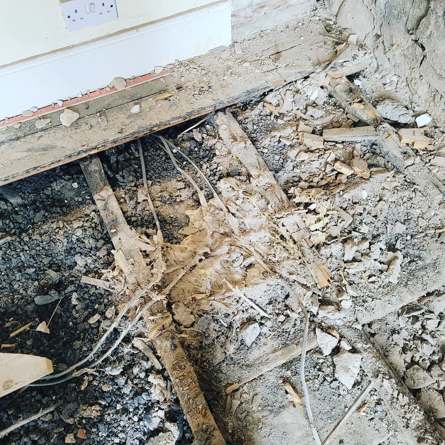 Structural devastation through timber decay - SMPS Building ...