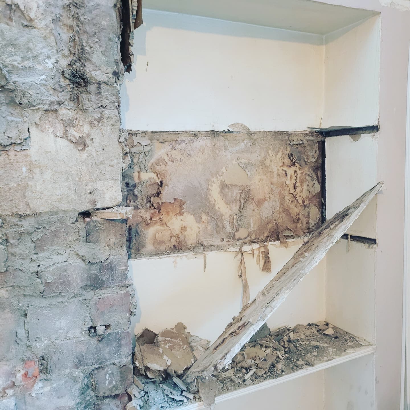 Structural devastation through timber decay - SMPS Building ...